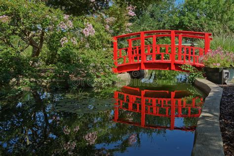 A Ponte De Madeira Pequena Pintou Vermelho E Refletindo Na Lagoa Imagem
