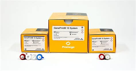 Profiler Str Kit At Pam Kirkland Blog