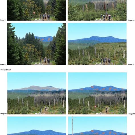 Examples Of Four Choice Sets Consisting Of Six Visual Variables With