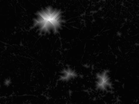 16 Distance Transform Maps Download Scientific Diagram