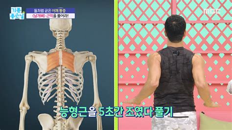 뭉친 어깨 풀어주는 날개뼈 스트레칭