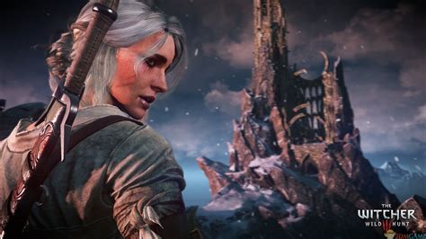 【090116】《巫师3：狂猎（the Witcher 3 Wild Hunt）》v131 独立中英文年度版 Twen Steam