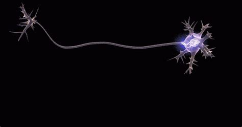 Нейронное напряжение Как дифференциальные уравнения помогают понять