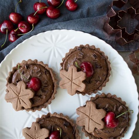 Well Nourished ⎮ Rich Chocolate Tarts Gluten Free Dairy Free