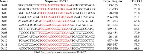 The Sequences Of Twelve Dz8 17 Enzymes Targeting Egfp Mrna Download