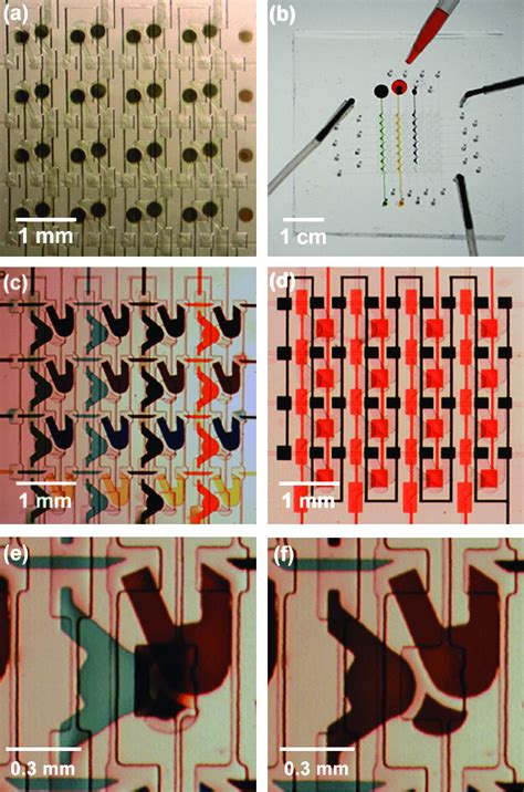 A Optical Micrograph Of A 4 Â 4 Microfluidic Chip Placed On A