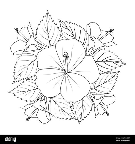 Dibujos De Hibiscos Para Colorear