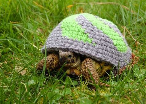 Quick And Simple Turtle Knitting Pattern