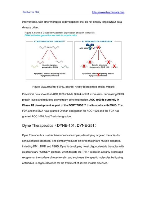 Ppt Antibodyoligonucleotide Conjugates Aocs In Clinical Trials