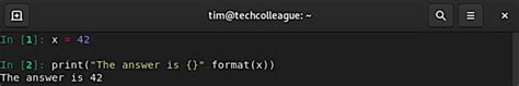 How To Print Integer Values In Python Techcolleague