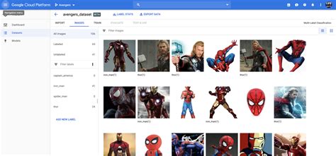 How To Use Google Automl To Classify Images Swift Discovery