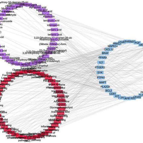 Compound Target Pathway Network Compounds Are Represented In Violet
