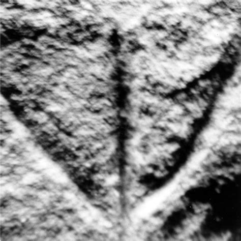 Mère And Mer Marieagnesperigault Fr