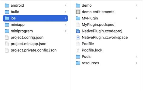 Cocoapods Ios