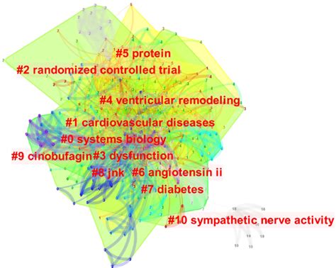 Keyword Co Occurrence Clustering Map Drawn By CiteSpace Different