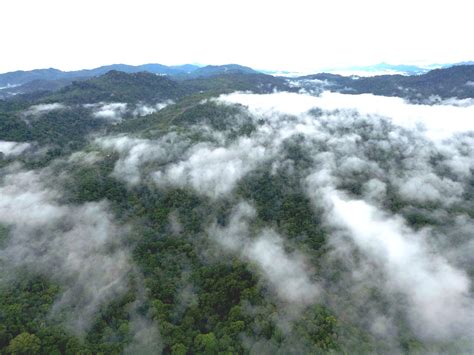 Gds Global Decarbonization Solutions