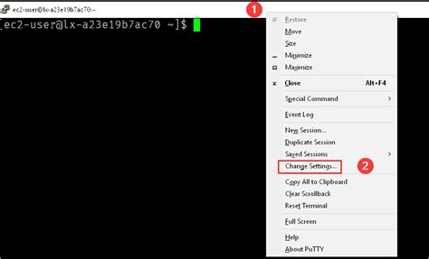 ssh is there a way to permanently set the font and window size in