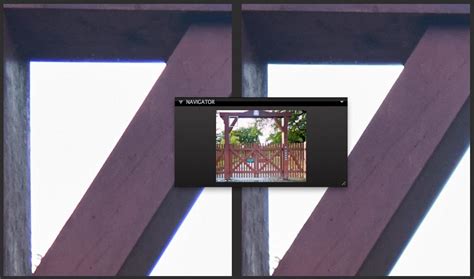 How To Fix Purple Fringing Photo Editing Tutorials Tips And Tricks Capture One Blog