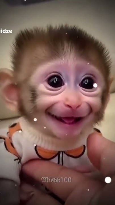 Oooo Cutie Pie 🥺💕💖💝 Love Youtube