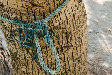 Premium Photo Close Up Of Rope Tied On Wooden Post