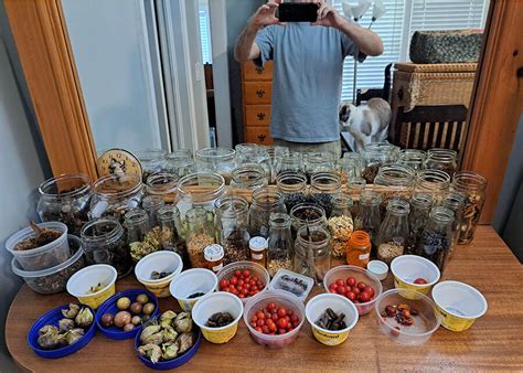 Wildflower Meadow Seed Harvest How To Mosaic Blog