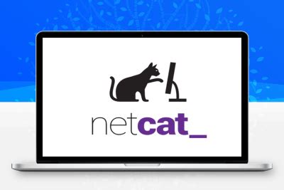 Tcp Ip Netcat It
