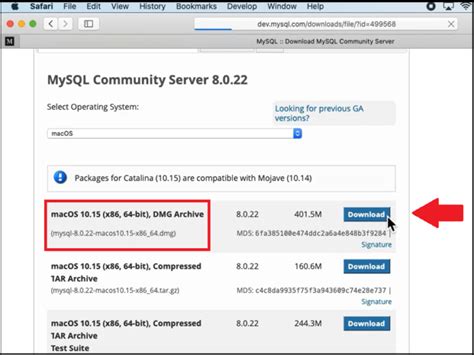 How To Install Mysql On Macos Studyopedia