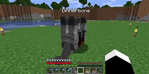 Minecraft Easter Eggs Pc