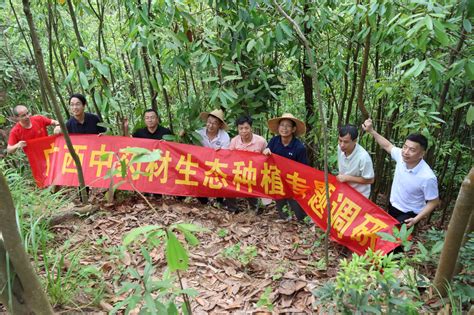 我校组织完成广西中药材生态种植专题调研（2023 07 31） 新闻中心