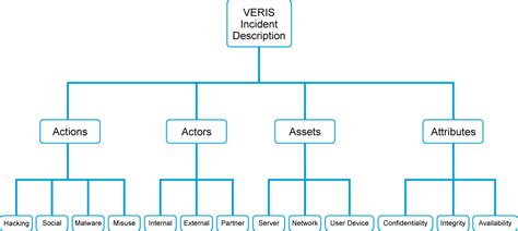 Veris Diagram Quizlet