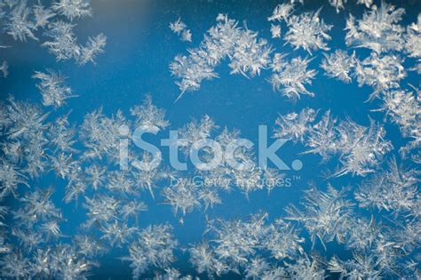 Frozen Window Stock Photo Royalty Free Images FreeImages