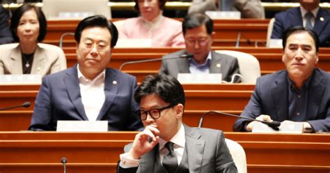 與 총선백서 위원 한동훈 이미지 조사는 사실김대남과는 인사만