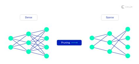 Optimizing Deep Neural Networks For Edge Devices The Power Of Pruning