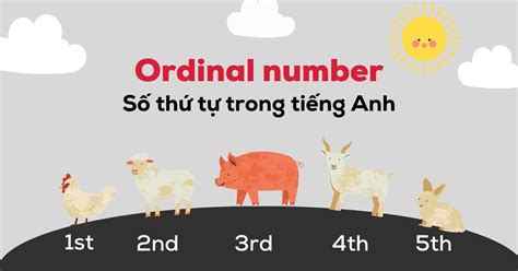 Phân Biệt Ordinal Cardinal Nominal Numbers Zim Academy