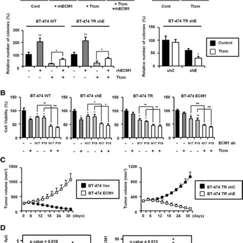 Extracellular Matrix Protein 1 Activates Extracellular Signal Regulated Download Scientific