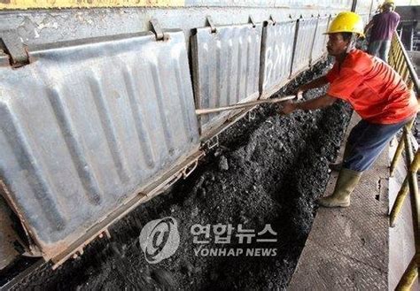 인도네시아 올해 석탄 수출 목표 역대 최대 5억t 이상 파이낸셜뉴스