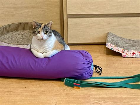 Katarzyna Kotula Kotulakatarzyna • Threads Say More