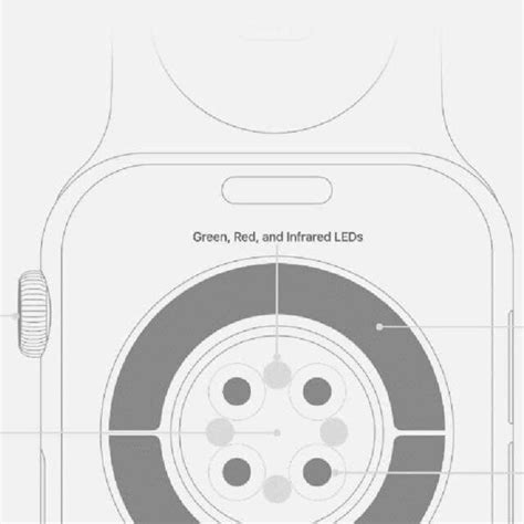 The Ppg Sensors On The Apple Watch That Use Infrared Sensors