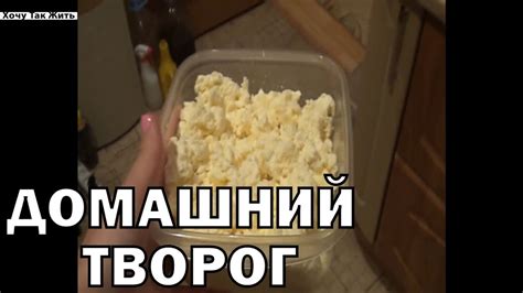 Рецепт домашнего творога как приготовить творог в домашних условиях