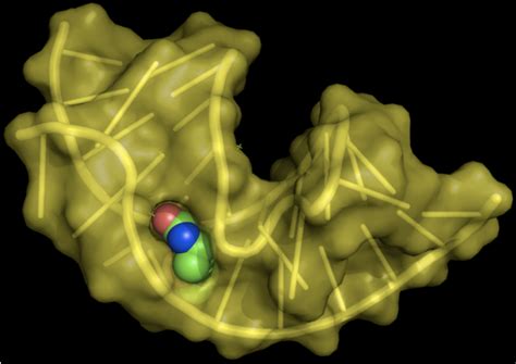 Rapid Isolation Of Bacteria Specific Aptamers With A Novel Non Selex