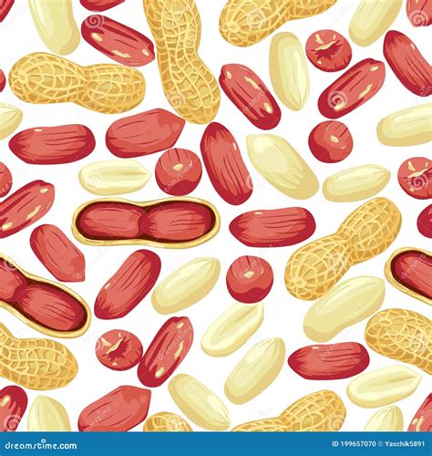 Peanut Seed Icon Brown Groundnut Outline Flat Sign Isolated White