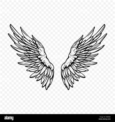 Vector Black Wing Icon Vintage Angel Wings Icon Design Template