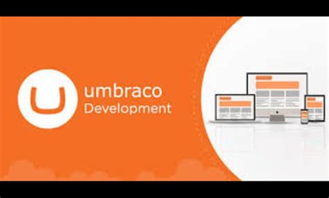 umbraco developer for website customization and support by