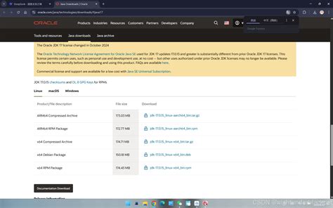 新手向 jdk的安装与使用 jdk 如何使用 csdn博客
