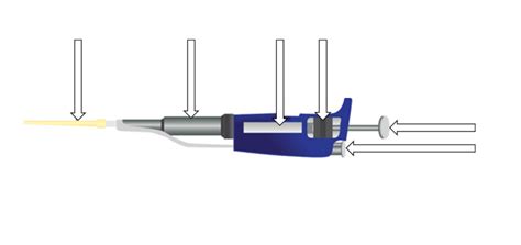 Physio Lab Equipment Microliter Pipette Diagram Quizlet