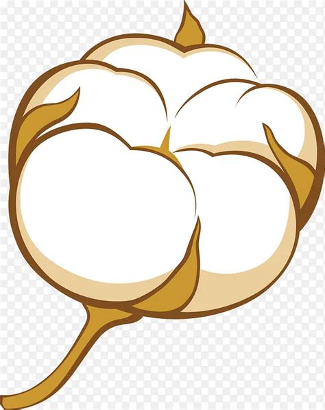 Png Png
