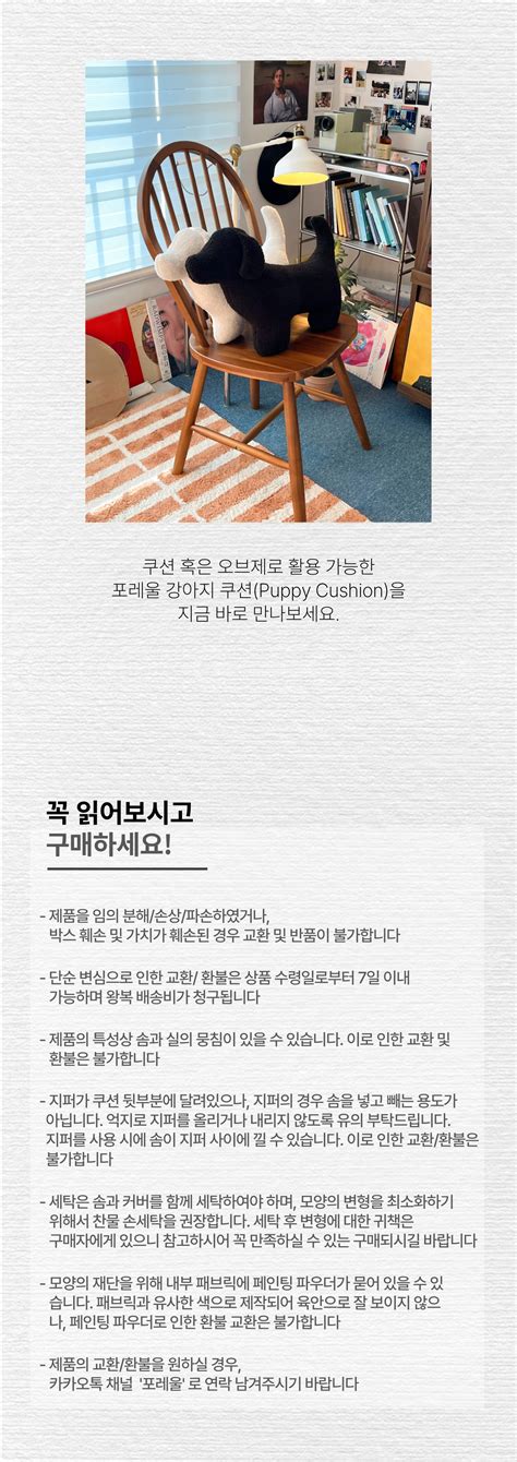 쿠션·등쿠션 강아지 소파 쇼파 등받이 쿠션 2colors 인테리어 쿠션 필로우 솜포함 오늘의집 쇼핑