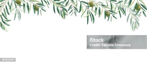 수평 프레임 올리브 가지와 녹색 과일로 테두리 수채화 손으로 그린 그림입니다 메뉴 디자인을 위한 웹 배너 카드 및 초대장 템플릿으로 적합합니다 고풍스런에 대한 스톡 벡터