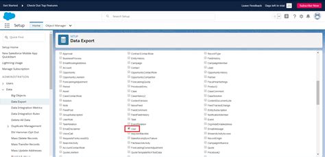 How To Export Salesforce Users In Csv File Findmycrm