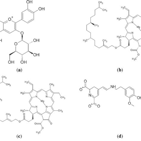 Chemical Structure Of A Anthocyanin B Chlorophyll A